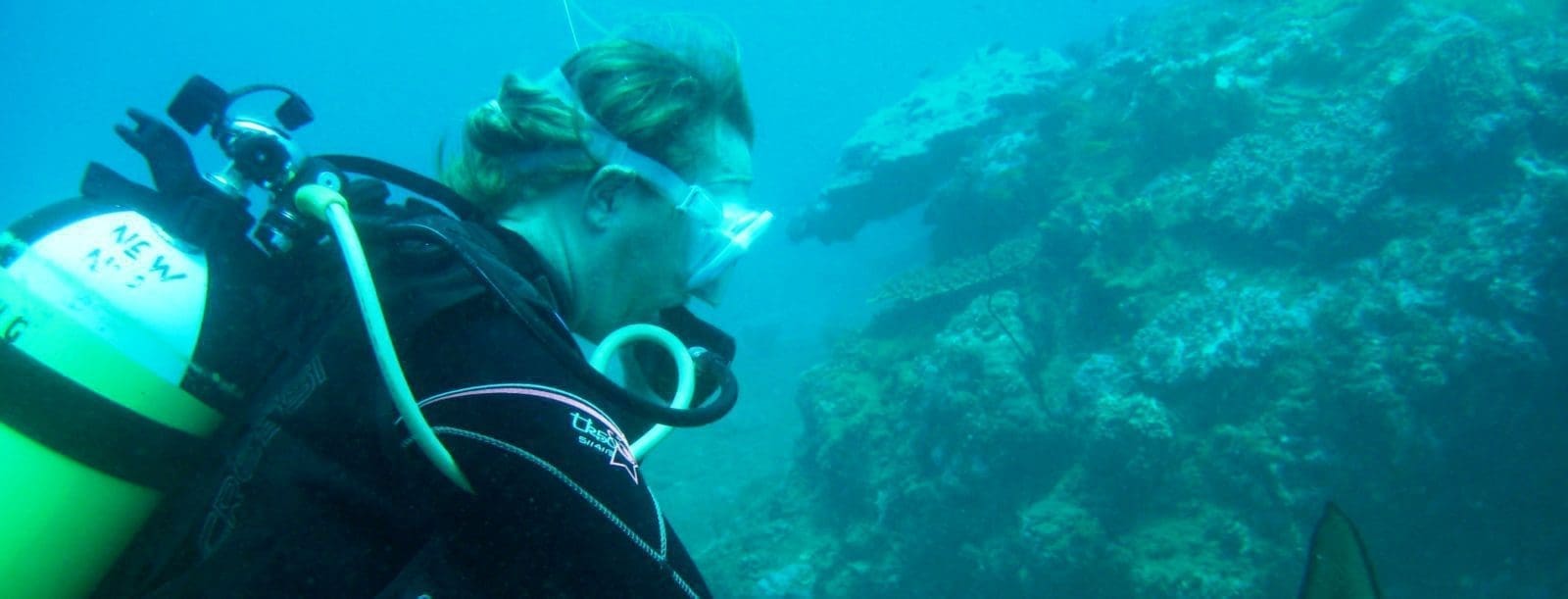 Staff Q&A with Charlie Gough, Senior Marine Scientist, Madagascar ...