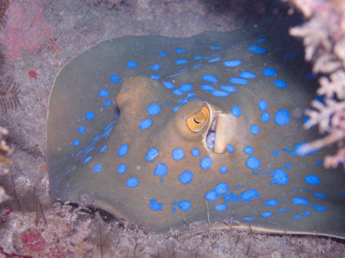 The most remarkable place... - Blue Ventures - Beyond Conservation blog