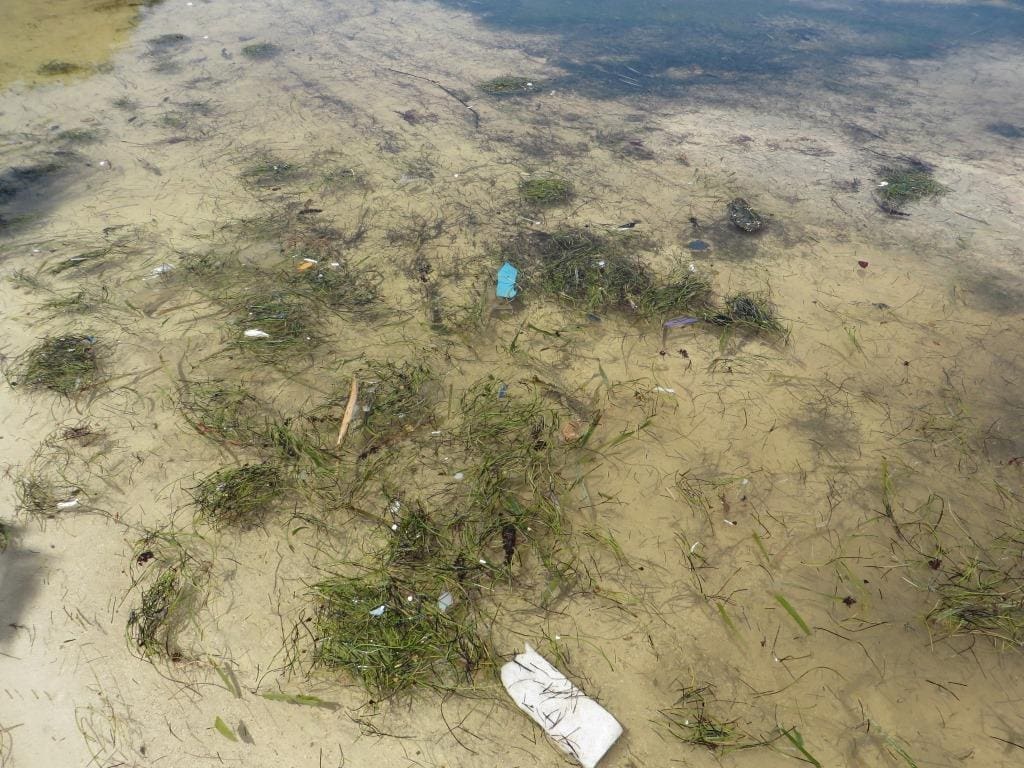 Turning the tide on marine plastics - Blue Ventures - Beyond ...