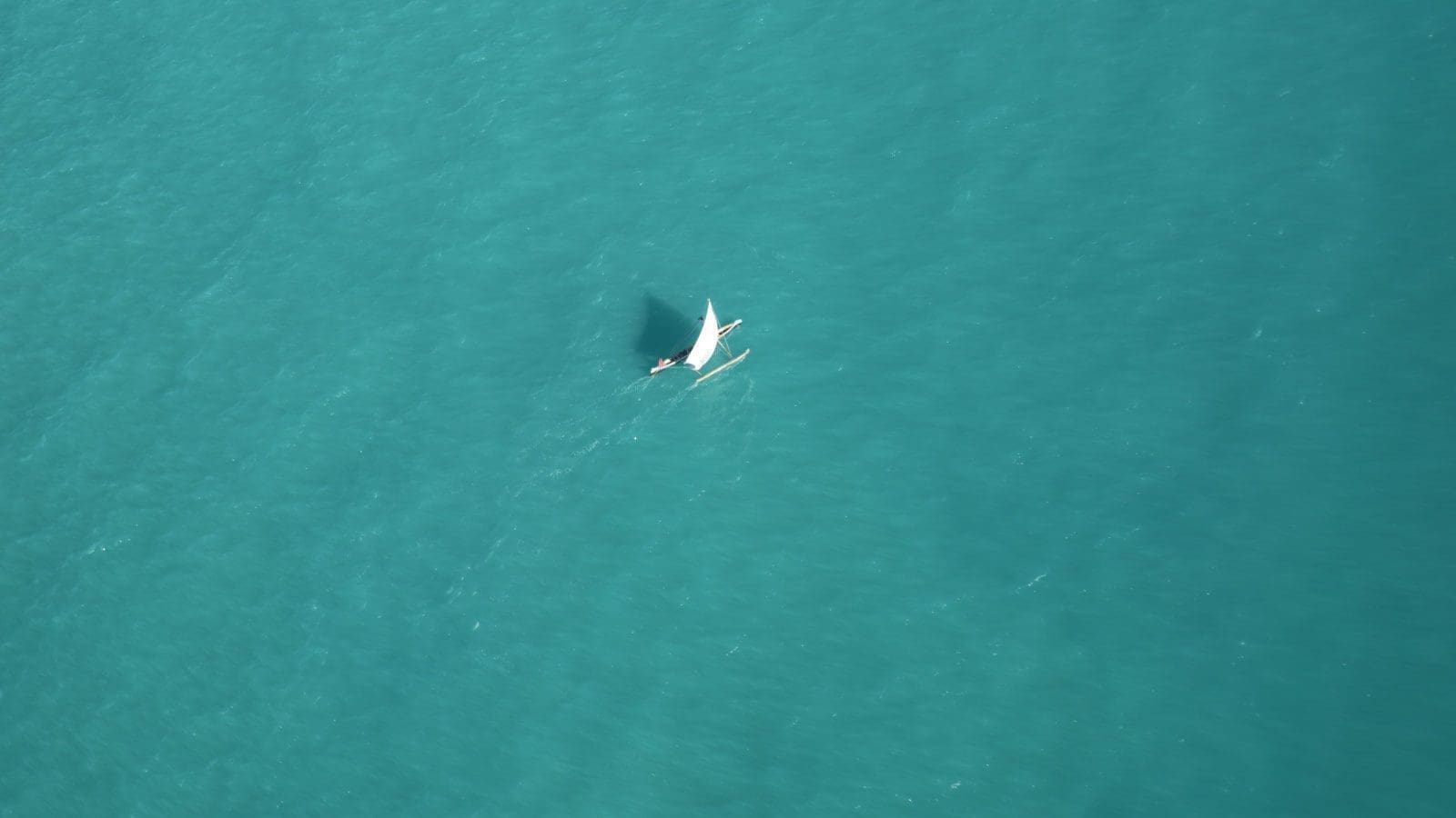 Open source conservation - Blue Ventures - Beyond Conservation blog