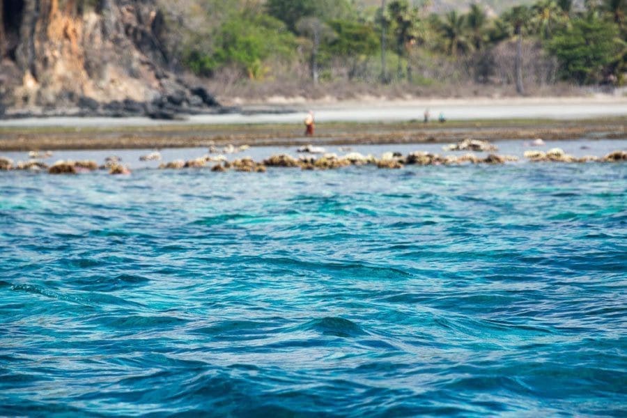 Talking tara bandu: witnessing a marine milestone on Ataúro - Blue ...