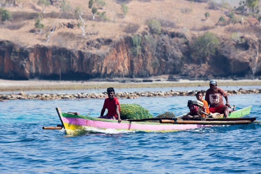 Talking tara bandu: witnessing a marine milestone on Ataúro - Blue ...