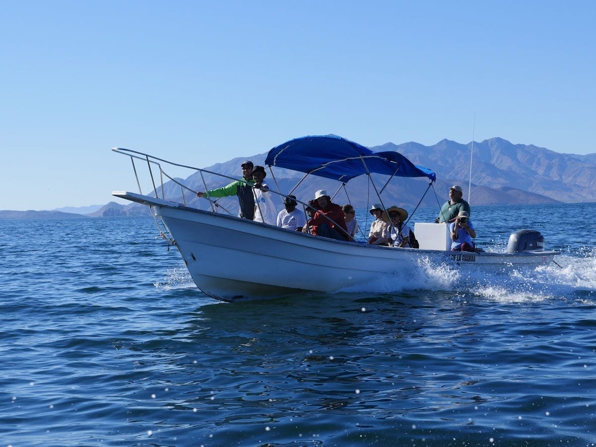 From Madagascar to Mexico: shared experience, stronger fisheries - Blue ...
