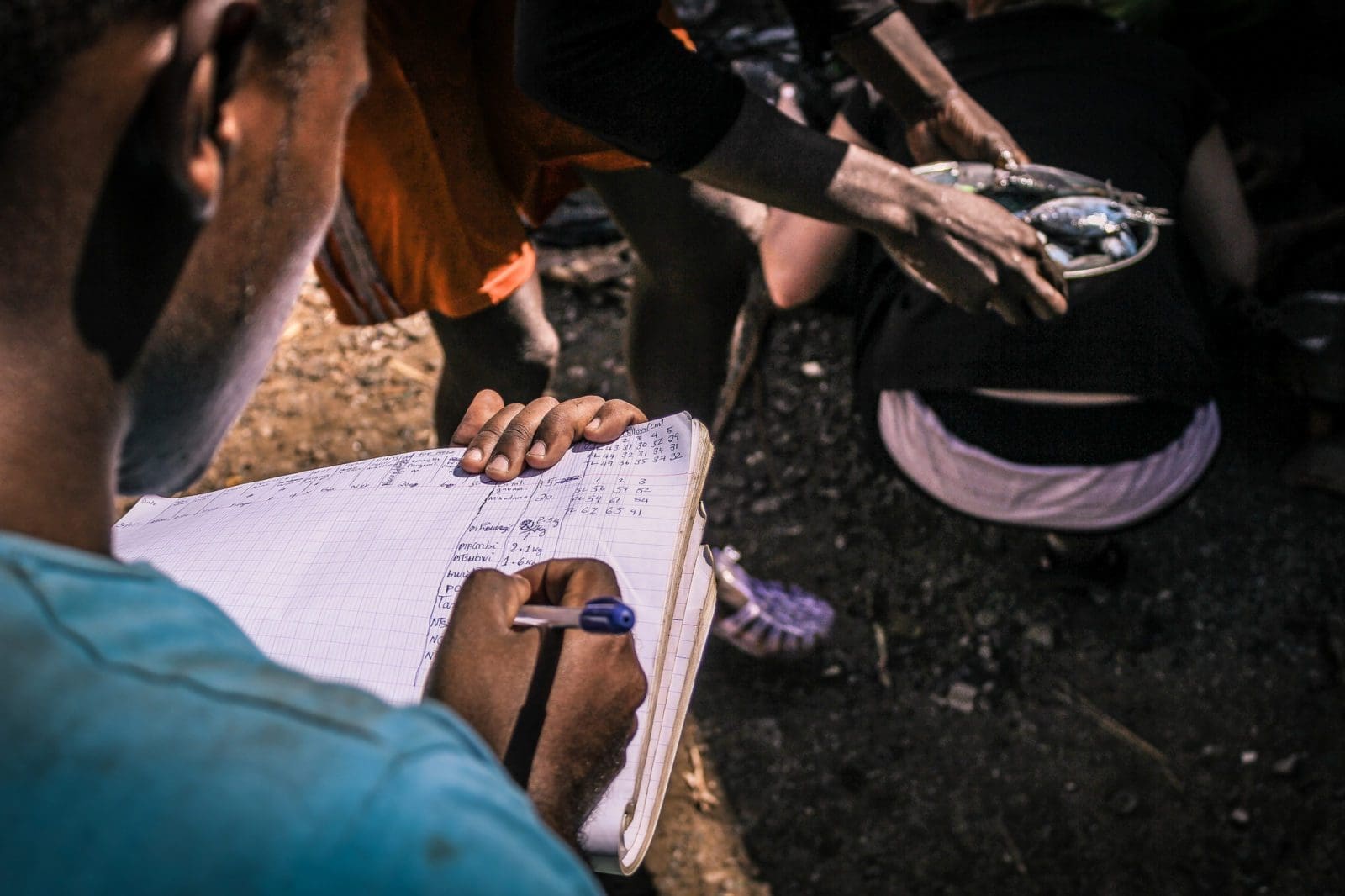 Building a positive future for fishing in the Comoros - Blue Ventures ...