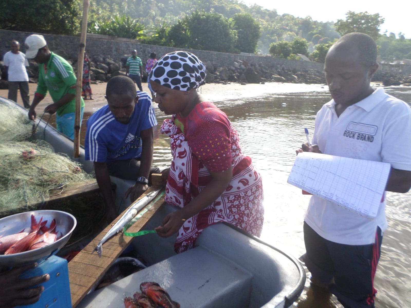 Building a positive future for fishing in the Comoros - Blue Ventures ...