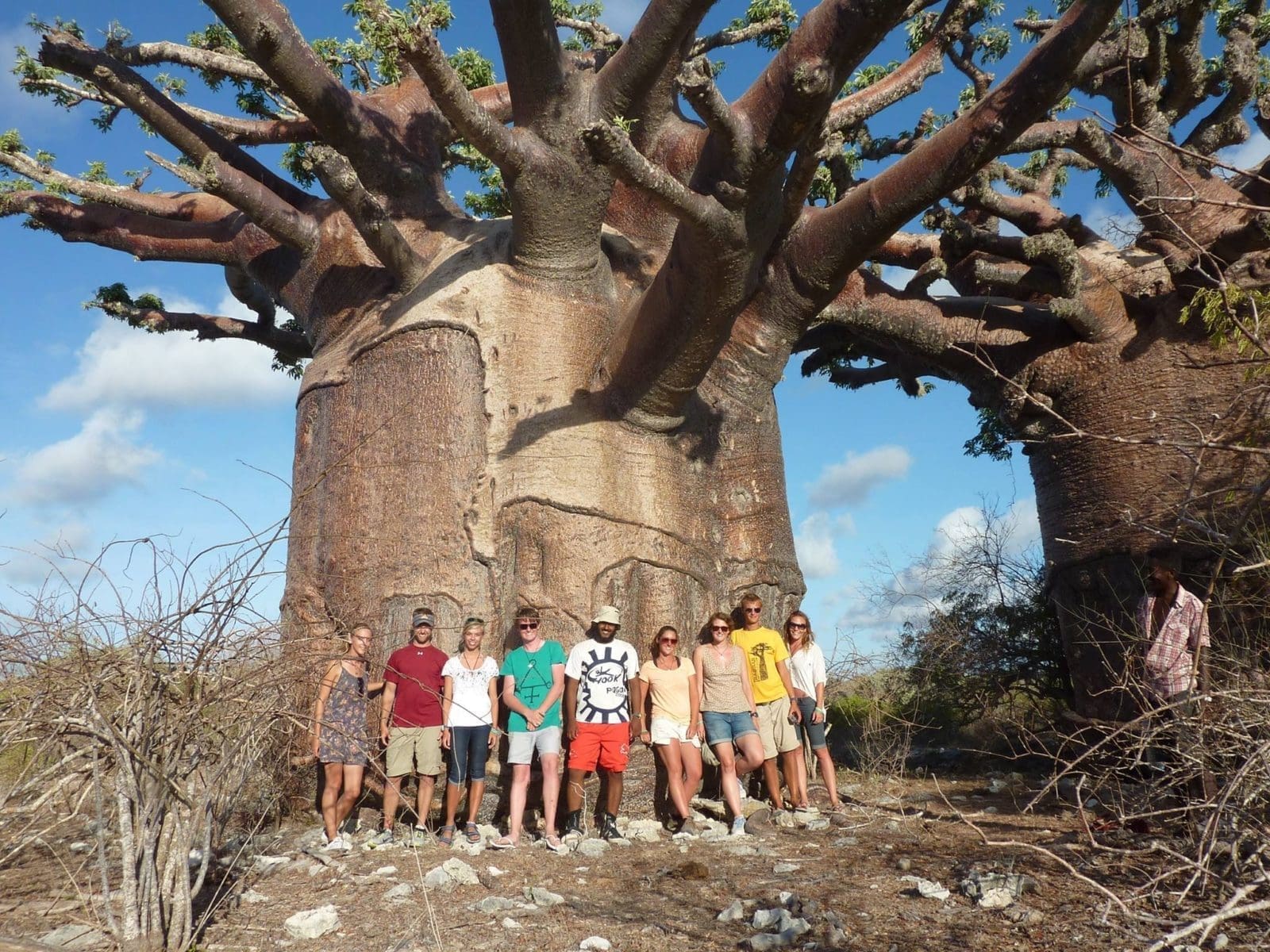 Amazing Madagascar part 1: unique wildlife - Blue Ventures - Beyond ...