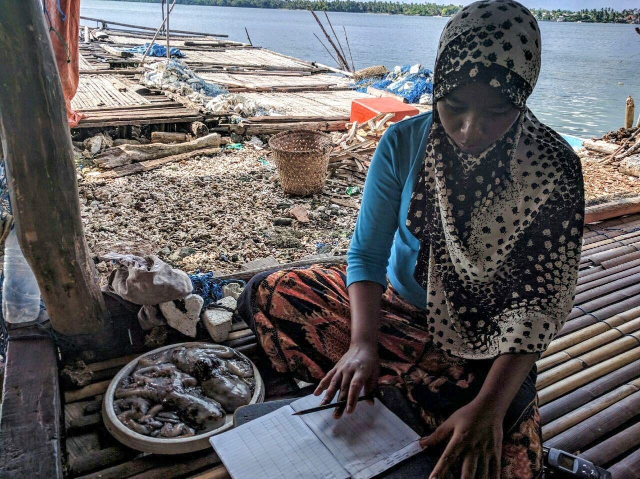 Talking octopus: conservation conversations on Darawa Island - Blue ...