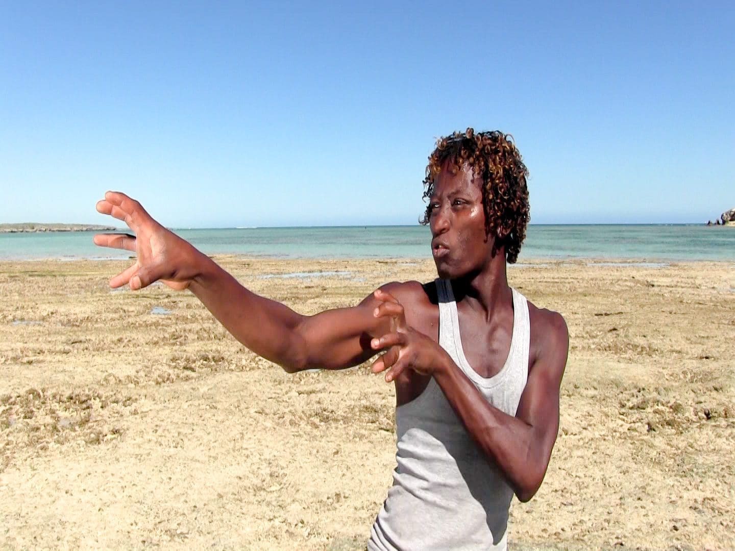 What does kung fu have to do with octopus fishing? - Blue Ventures ...