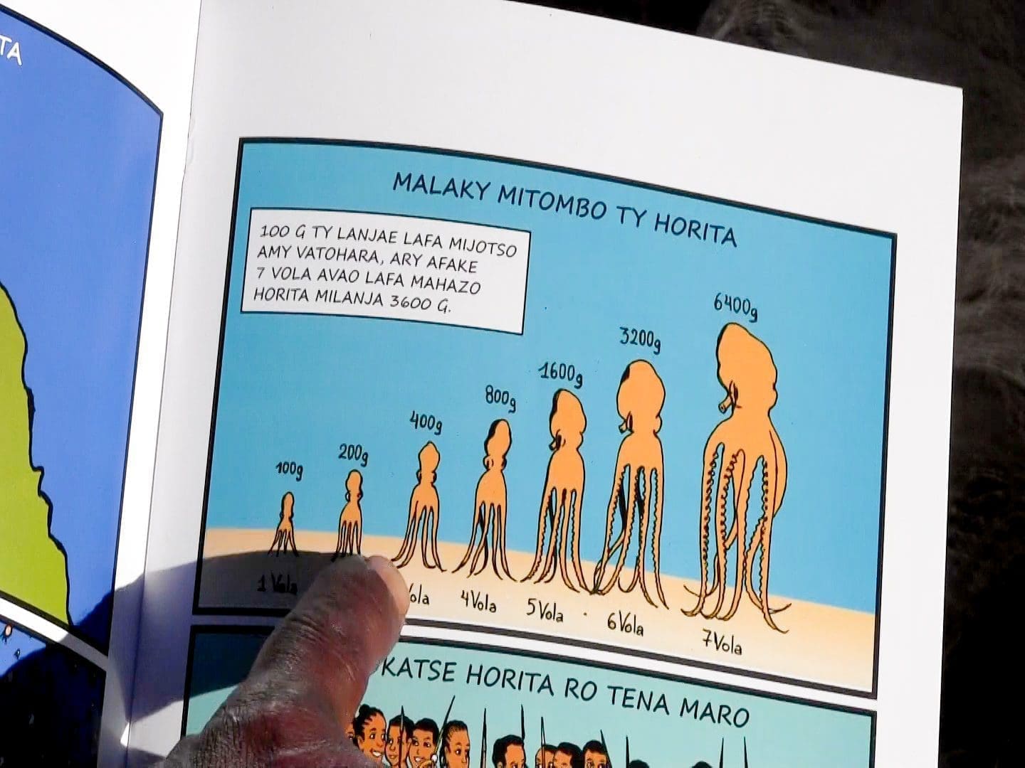 What does kung fu have to do with octopus fishing? - Blue Ventures ...