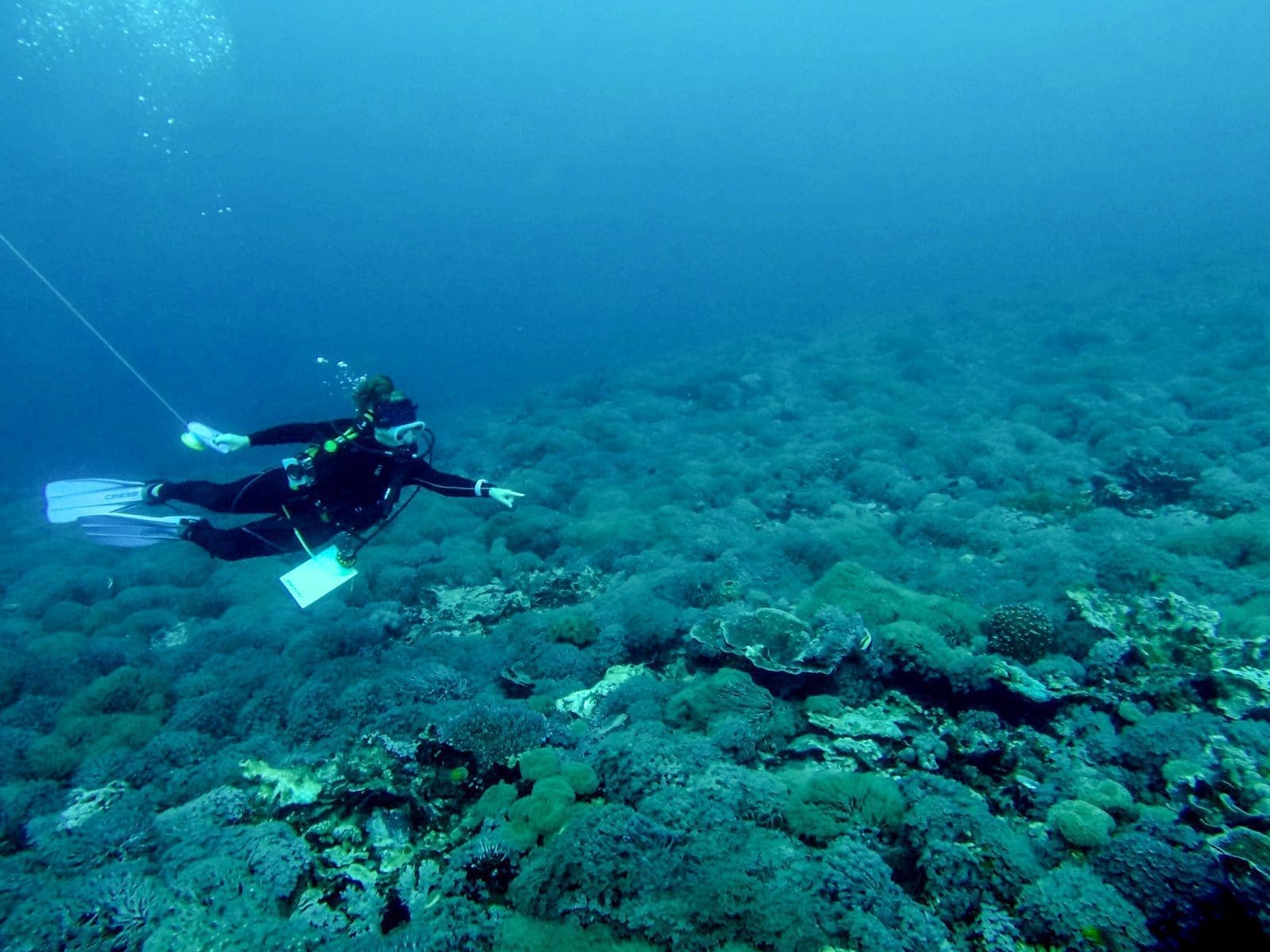 Diving into Timor-Leste - Blue Ventures - Beyond Conservation blog