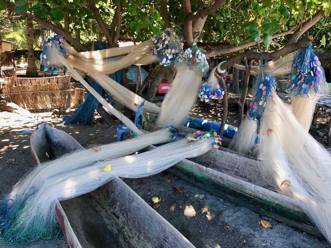 Sea Change: Ataúro’s first female scuba diver lends her voice to marine ...