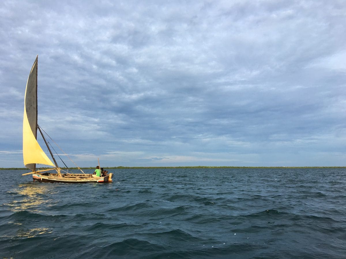 PHE training brings new partners together in the Lamu Archipelago ...