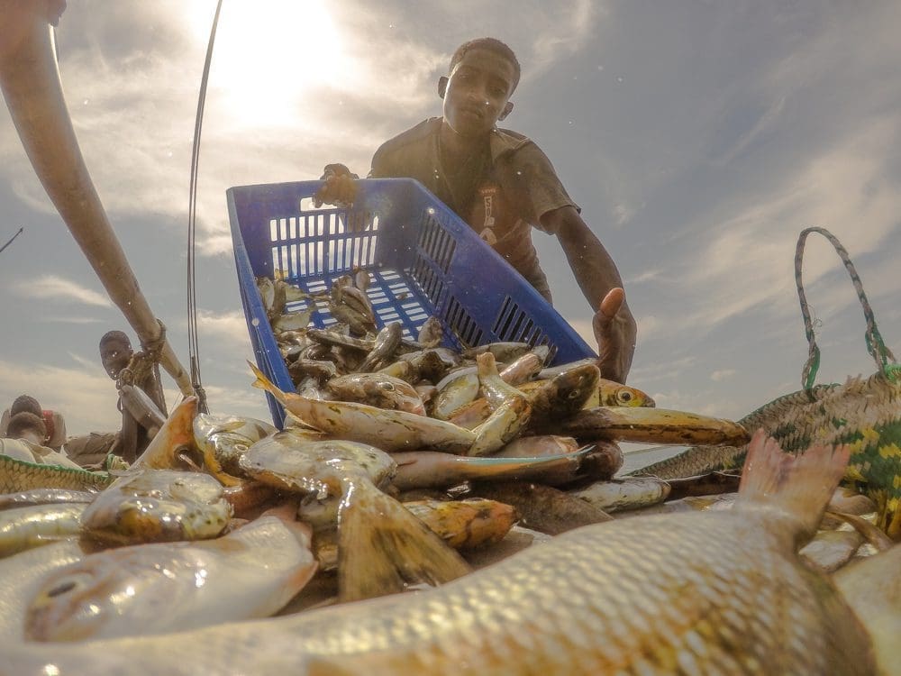 PHE training brings new partners together in the Lamu Archipelago ...