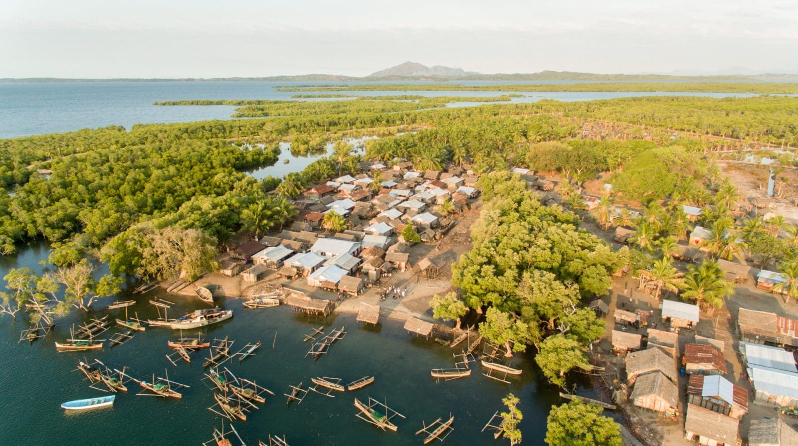Fisheries management that works for everyone - Blue Ventures - Beyond ...