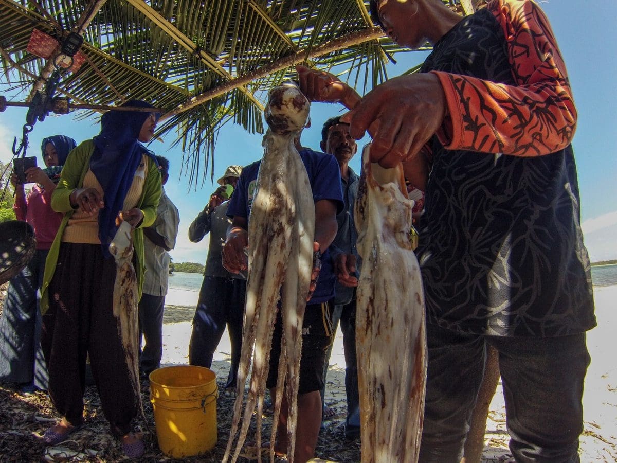 The Darawa community celebrates a fisheries management milestone - Blue ...