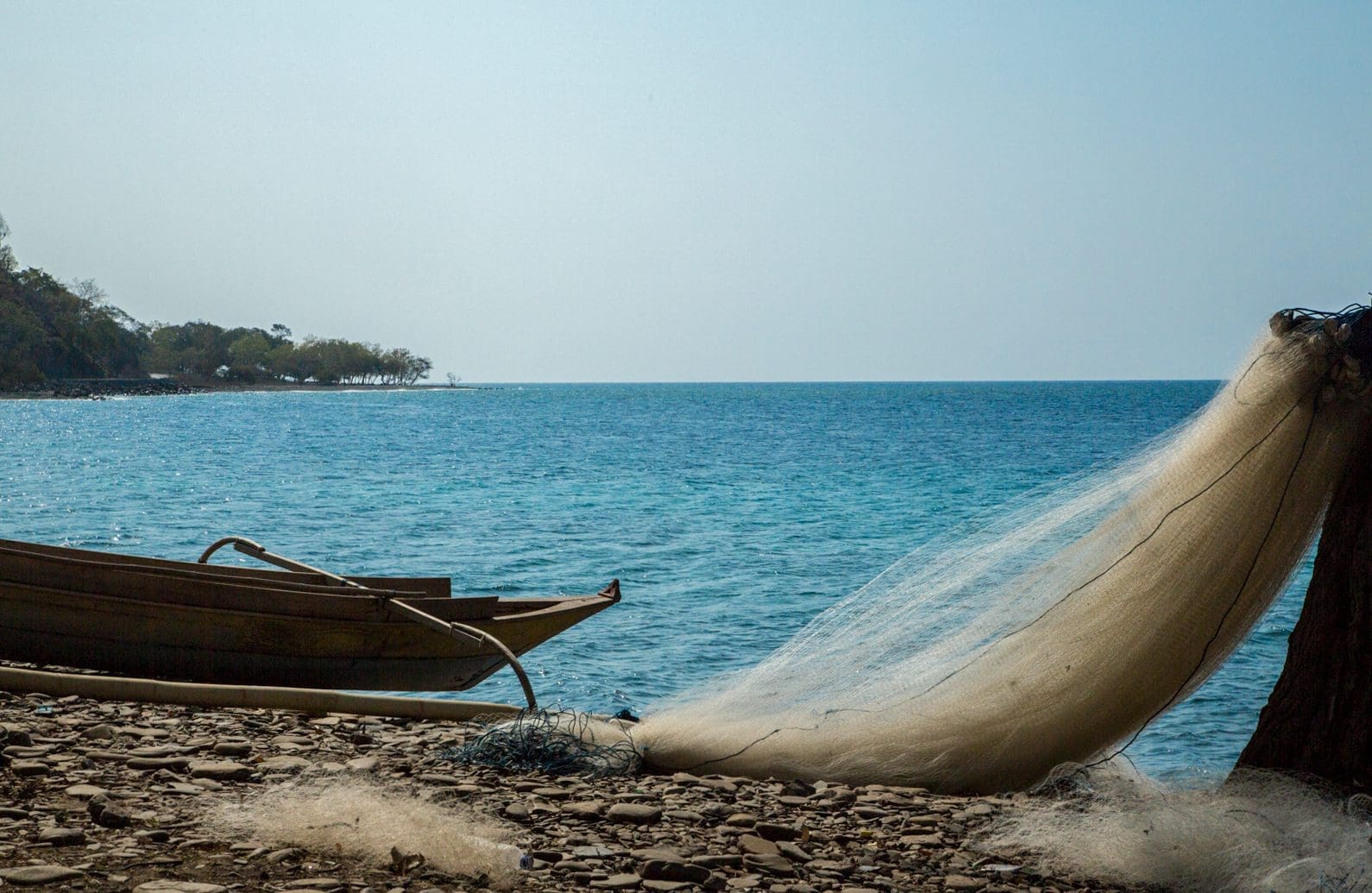 Taking control with Tara Bandu - Blue Ventures - Beyond Conservation blog