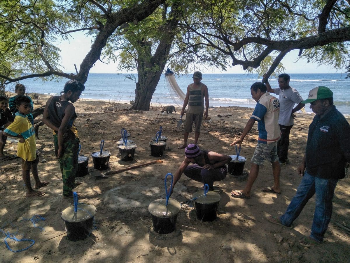 Taking control with Tara Bandu: part 2 - Blue Ventures - Beyond ...