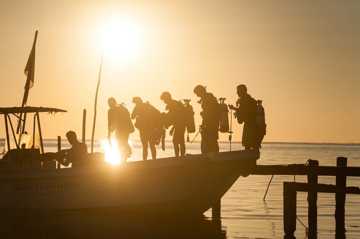 Why I keep coming back to BV - Blue Ventures - Beyond Conservation blog