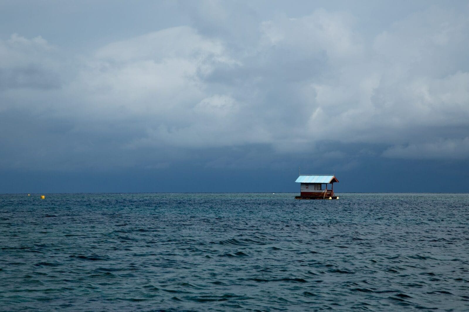Meet the ‘Monster of Bahoi’ - Blue Ventures - Beyond Conservation blog