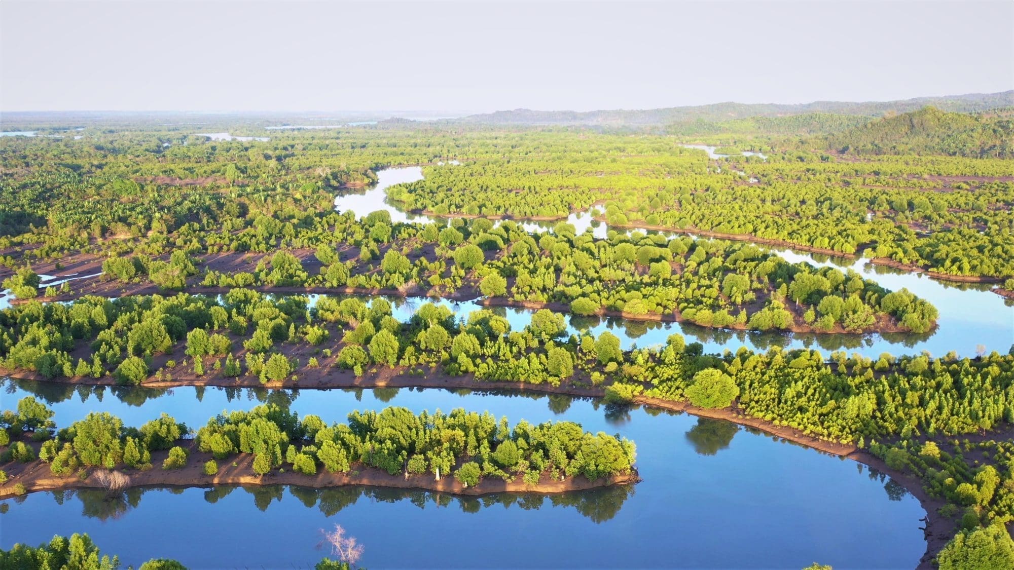 Our ongoing journey: exploring the challenges and lessons learned about ...