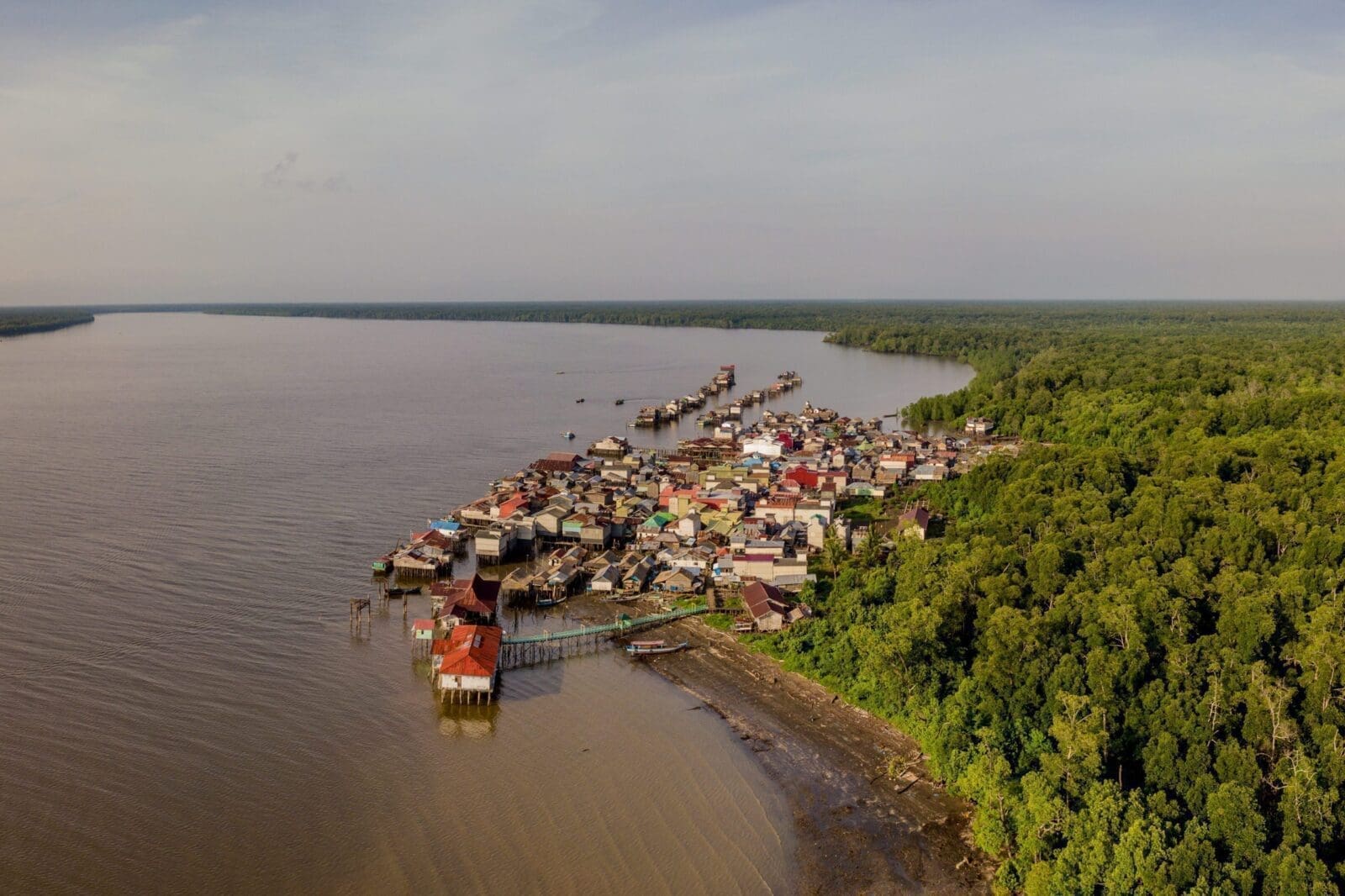 Coming together to protect the mangroves of Sembilang, western ...