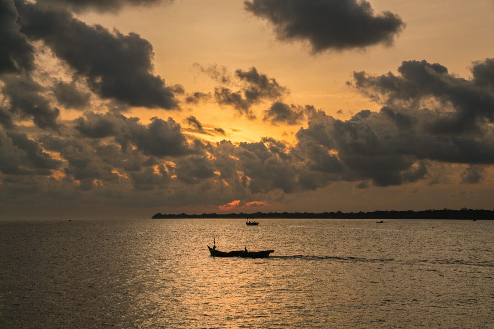 Coming together to protect the mangroves of Sembilang, western ...