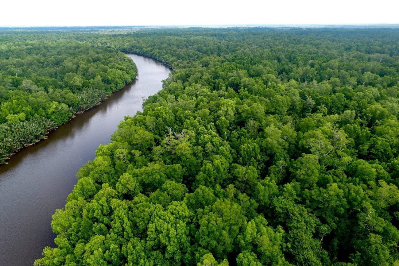 sembilang national park Archives - Blue Ventures - Beyond Conservation blog