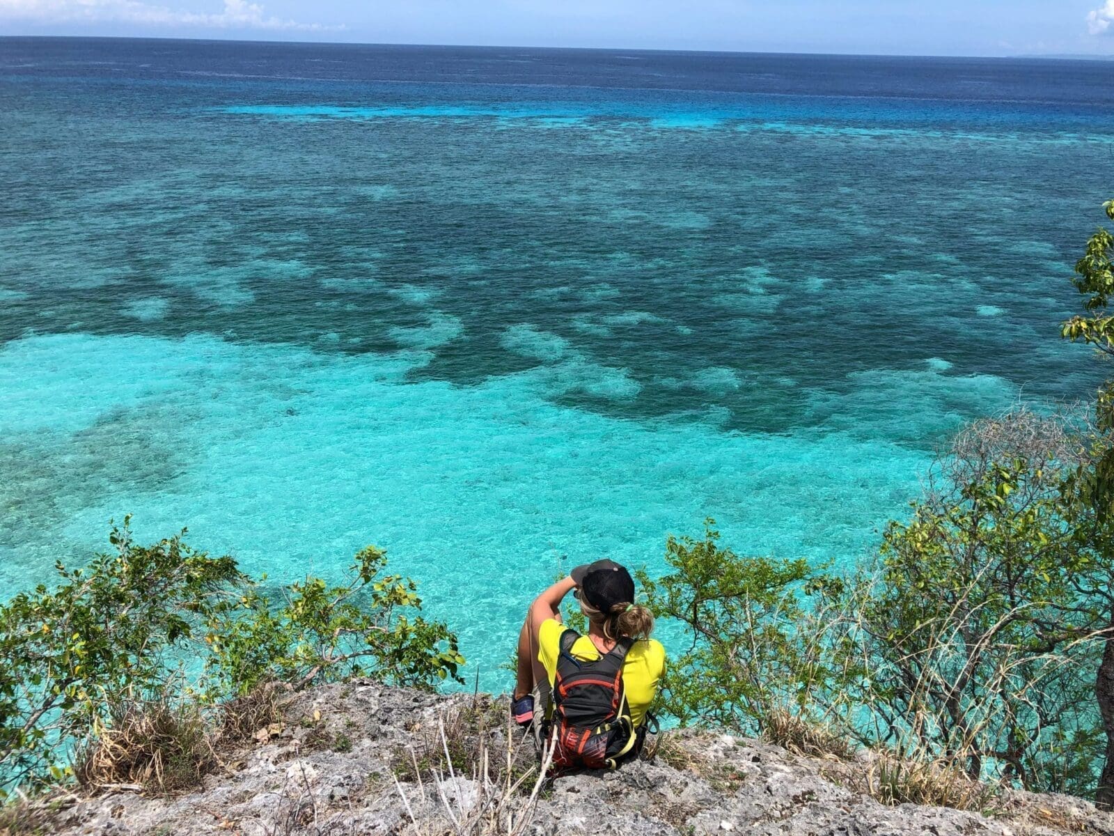 From global to local, and back again - Blue Ventures - Beyond ...