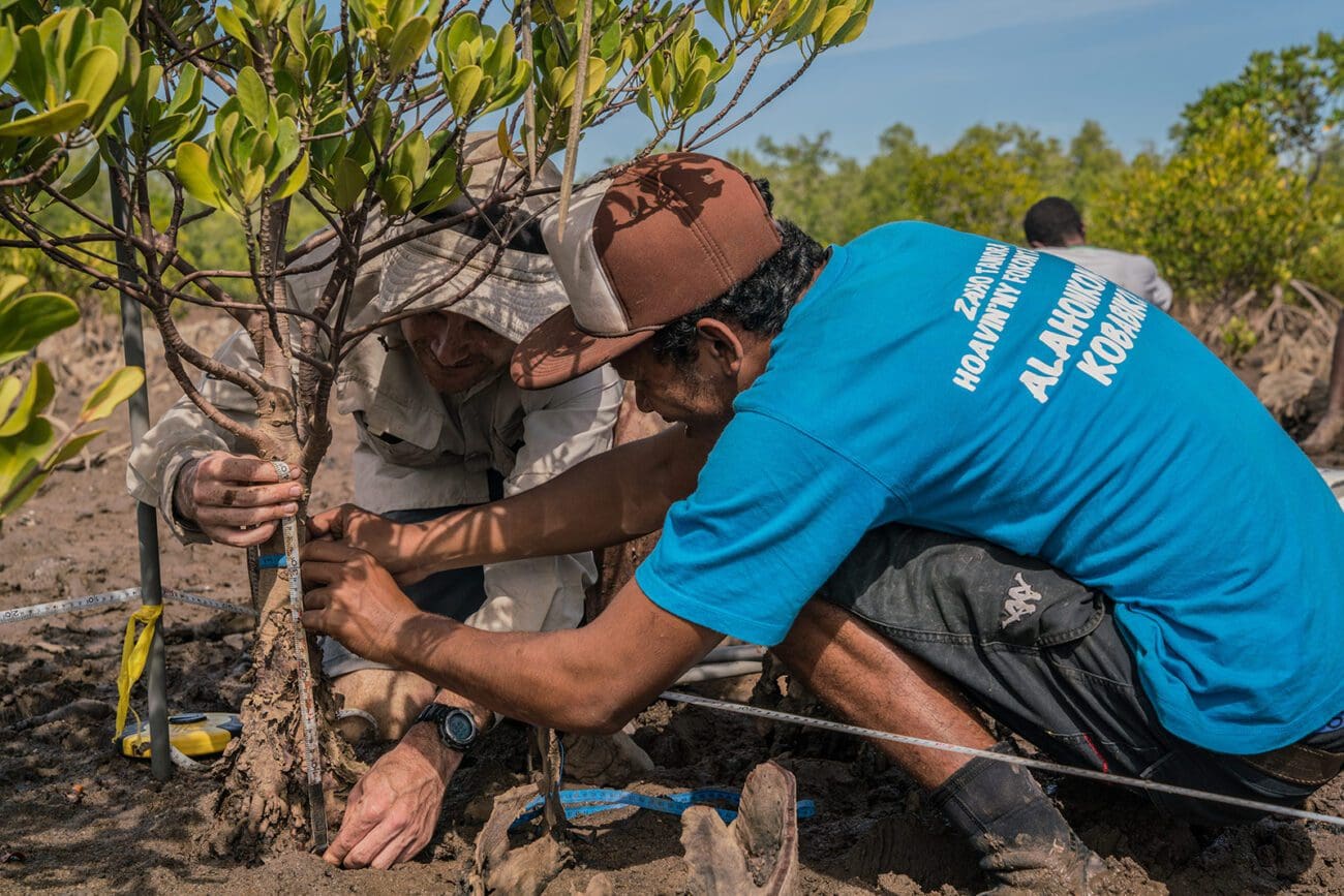 - Blue Ventures - Beyond Conservation blog