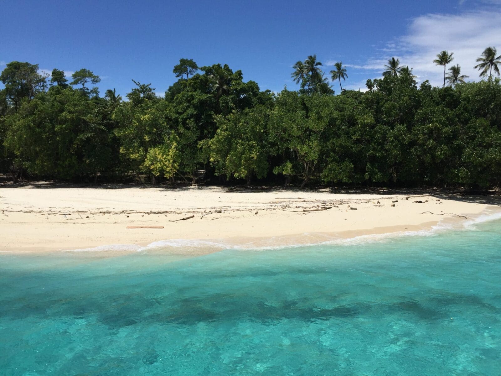 Connecting the dots - 'Sasi' and co-management in Maluku, Indonesia ...
