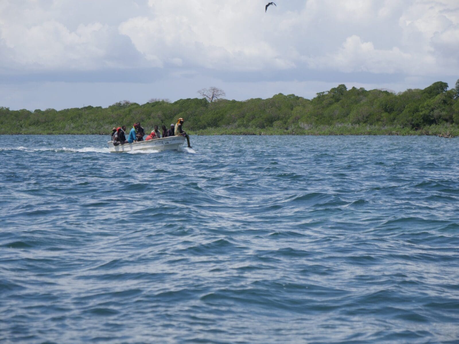 Community conservation offers hope for sustainable fisheries on the ...